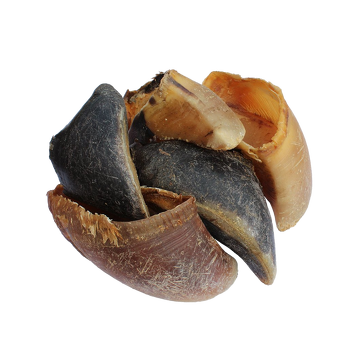Beef Hoof Chews | Products - Animal Feed Barn