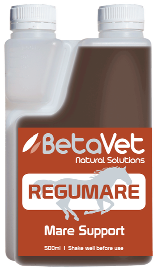 BetaVet Electrolift Paste | Products - Animal Feed Barn